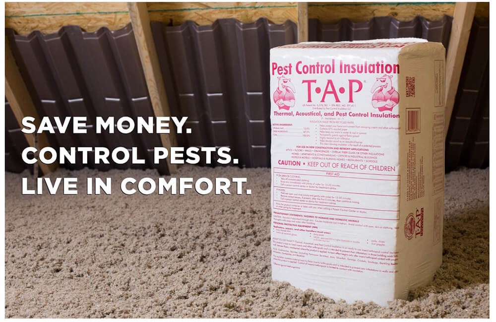 Crawlspace Insulation & Moisture Control | Honor Guard Pest